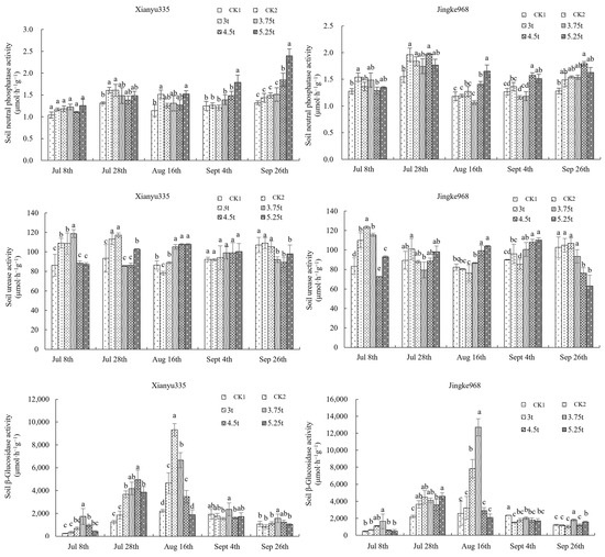 Effects of Carbon-Based Fertilizer on Soil Physical and Chemical ...