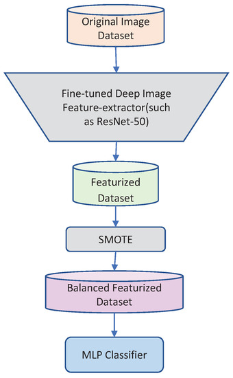 Improving Deep Learning Classifiers Performance via Preprocessing and Class Imbalance Approaches ...