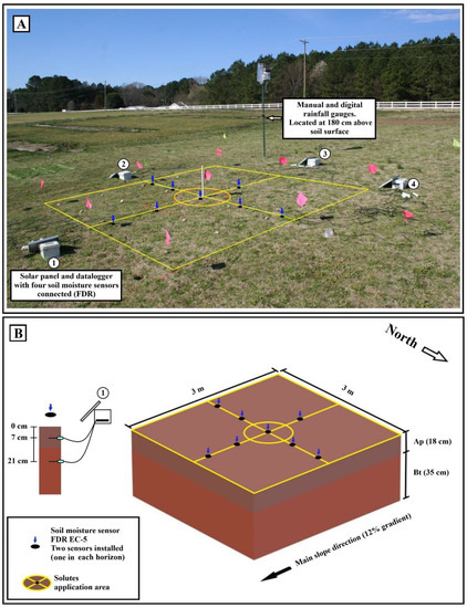 Subsurface Lateral Solute Transport in Turfgrass