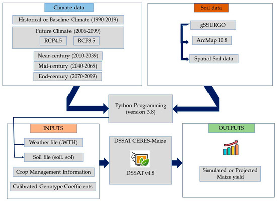 Impact of Spatial Soil Variability on Rainfed Maize Yield in Kansas under a Changing Climate
