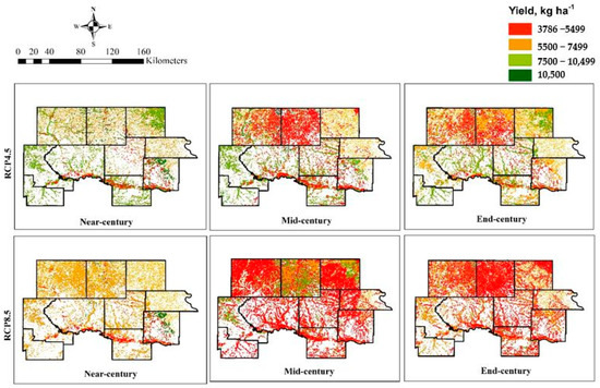 Impact of Spatial Soil Variability on Rainfed Maize Yield in Kansas under a Changing Climate