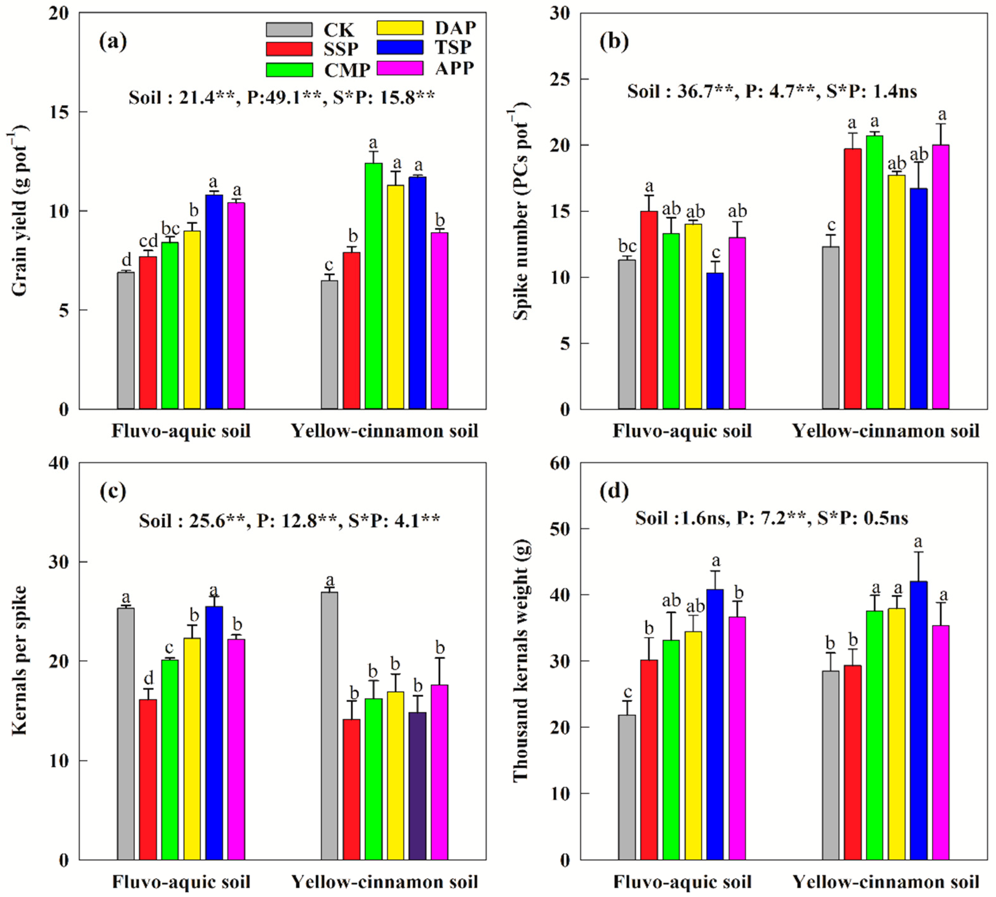 Improving Wheat Yield and Phosphorus Use Efficiency through the ...