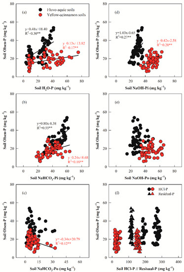 Improving Wheat Yield and Phosphorus Use Efficiency through the Optimization of Phosphorus ...