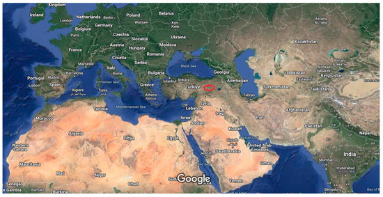 Pollen Visualization of Turkish Flora of Selected Plant Species under ...