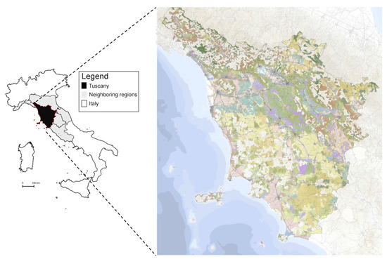 Trade-Offs and Synergies between Ecosystem Services Provided by ...