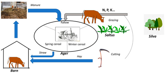 Domestic Herbivores, the Crucial Trophic Level for Sustainable ...