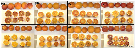 Fruit Quality and Primary and Secondary Metabolites Content in Eight ...