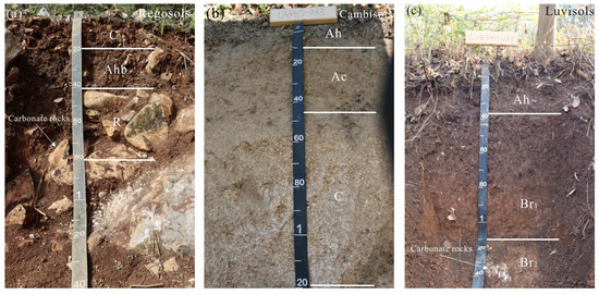 Geochemical Characteristics of Typical Karst Soil Profiles in Anhui ...