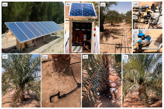 Toward Sustainable Farming: Implementing Artificial Intelligence to ...