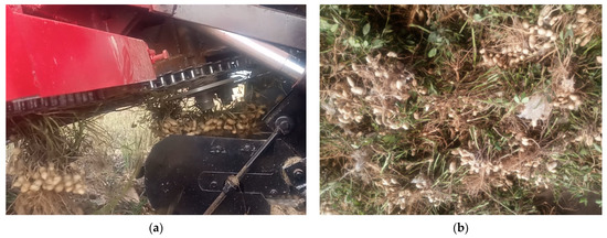 Design and Test of Peanut Root-Disk Full-Feeding Longitudinal Axial ...