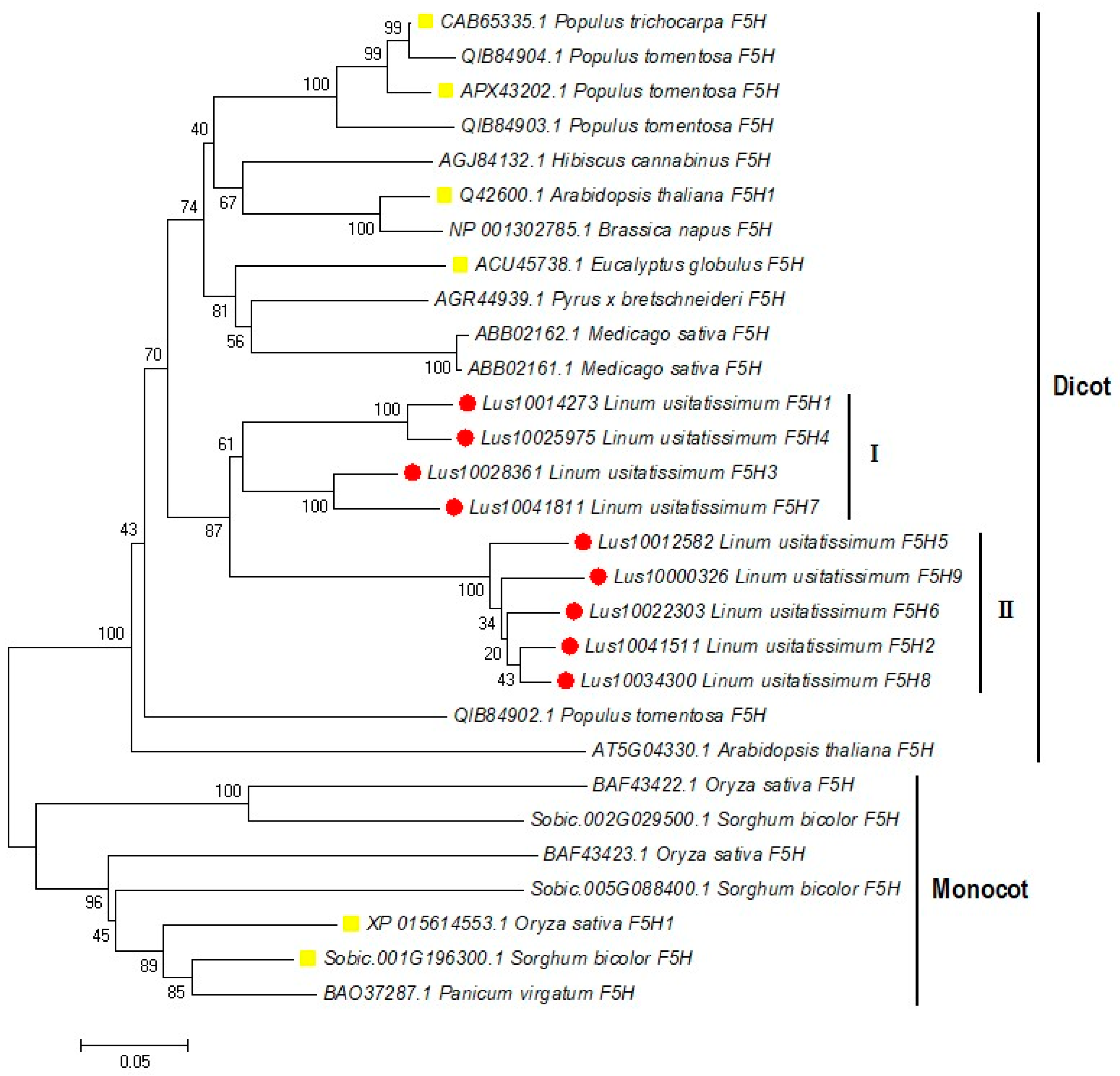 Agronomy | Free Full-Text | Genome-Wide Identification and Expression ...