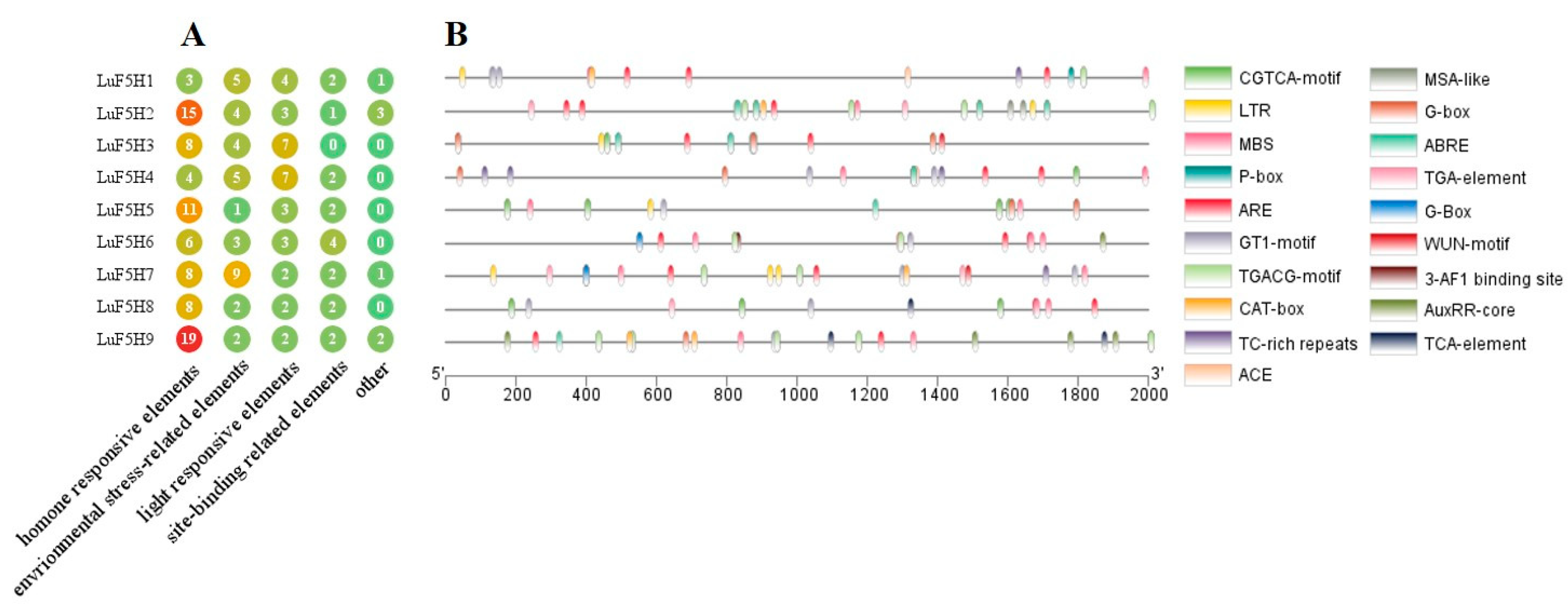 Agronomy | Free Full-Text | Genome-Wide Identification and Expression ...