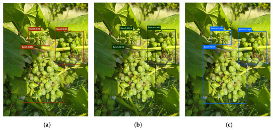 Agronomy | Free Full-Text | Deep Learning YOLO-Based Solution for Grape Bunch Detection and ...