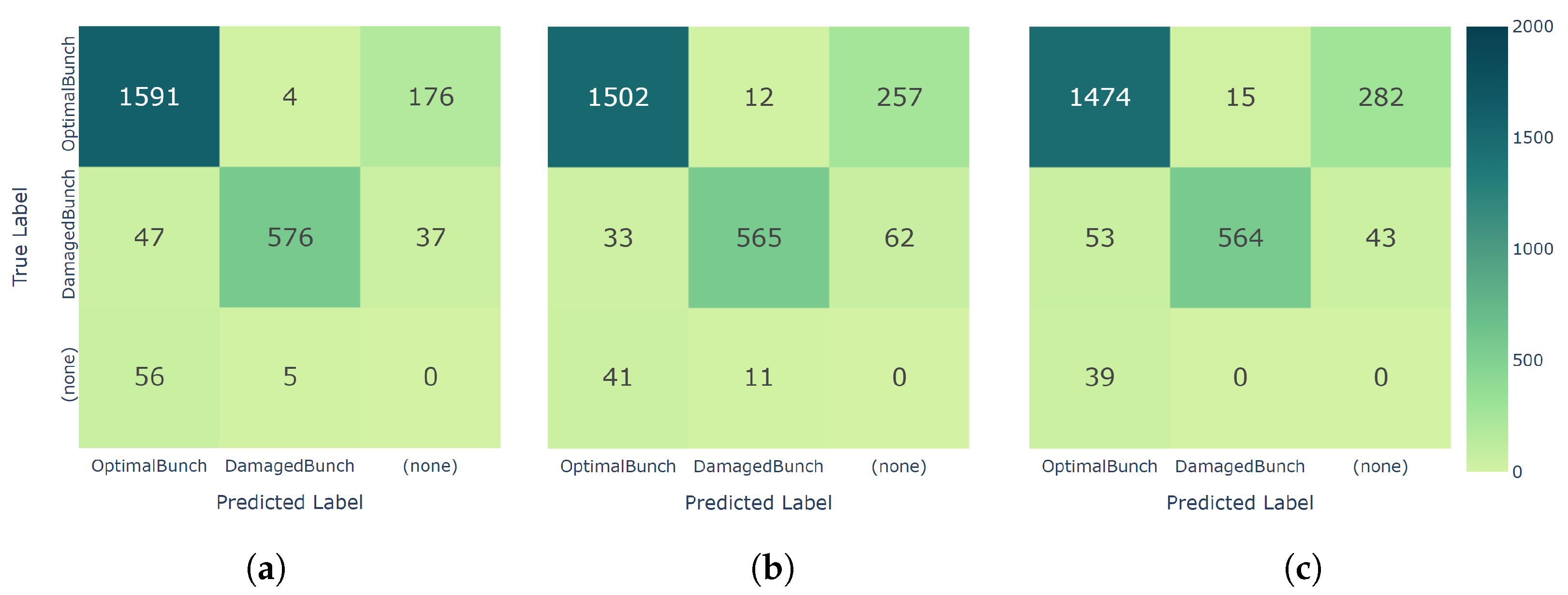 Agronomy | Free Full-Text | Deep Learning YOLO-Based Solution for Grape Bunch Detection and ...
