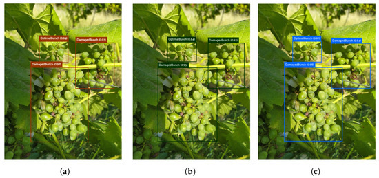 Agronomy | Free Full-Text | Deep Learning YOLO-Based Solution for Grape Bunch Detection and ...