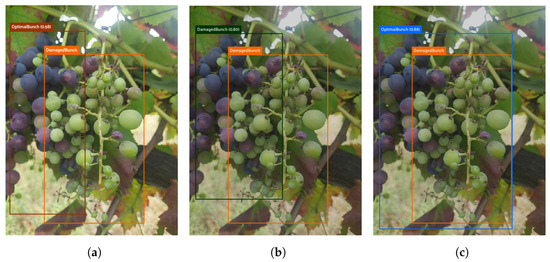 Agronomy | Free Full-Text | Deep Learning YOLO-Based Solution for Grape Bunch Detection and ...