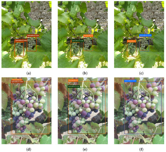 Agronomy | Free Full-Text | Deep Learning YOLO-Based Solution for Grape Bunch Detection and ...