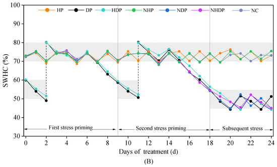 Droughts and Thermo-Priming Enhance Acclimation to Later Drought and ...