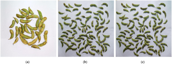 Agronomy | Free Full-Text | High-Throughput Classification and Counting of Vegetable Soybean ...