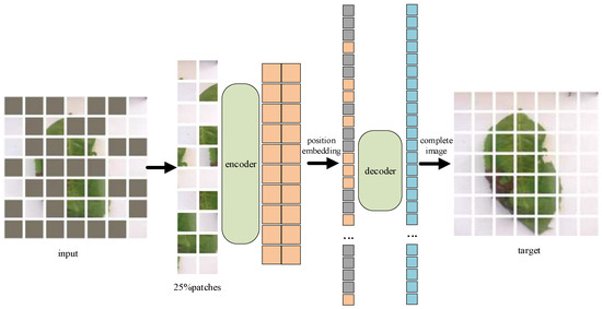 An Information Entropy Masked Vision Transformer (IEM-ViT) Model for ...
