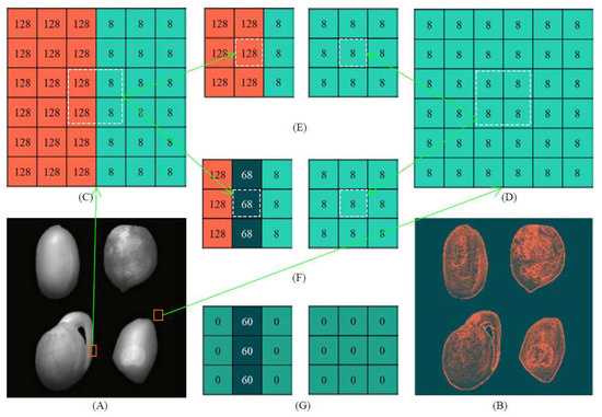 Peanut Defect Identification Based on Multispectral Image and Deep Learning