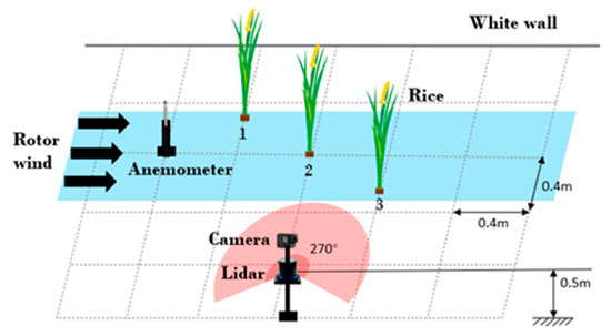 Modeling the Kinematic Response of Rice under Near-Ground Wind Fields ...