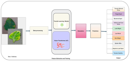 Transform and Deep Learning Algorithms for the Early Detection and ...