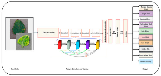 Transform and Deep Learning Algorithms for the Early Detection and ...