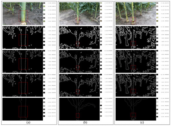 Maize (Zea mays L.) Stem Target Region Extraction and Stem Diameter ...