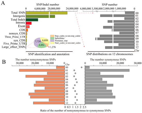 GWAS Characterization of the Genetic Regions Associated with Nine ...