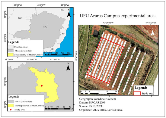Estimation of Strawberry Crop Productivity by Machine Learning Algorithms Using Data from ...