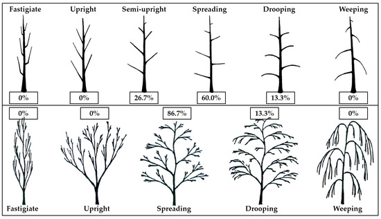 Comparative Evaluation of Pyrus Species to Identify Possible Resources ...