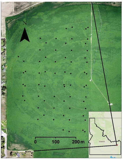 Assessing Within-Field Variation in Alfalfa Leaf Area Index Using UAV ...