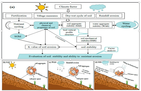 Effects of Different Tillage Practices on Soil Stability and ...