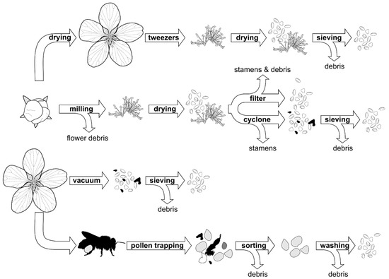 Artificial Pollination Technologies: A Review