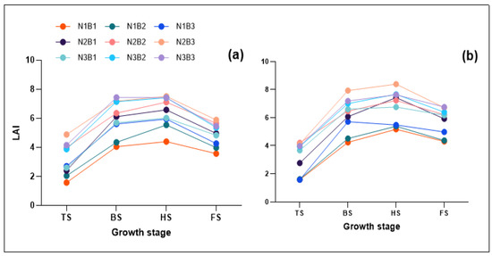 Enhancing Rice Yield and Nitrogen Utilization Efficiency through ...