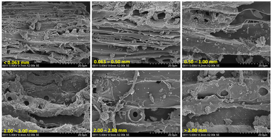 Optimizing Biochar Particle Size for Plant Growth and Mitigation of ...