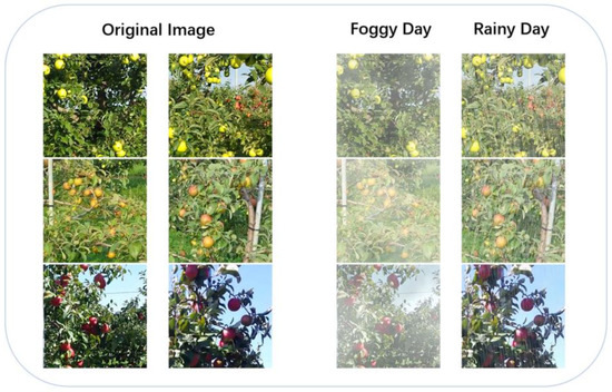 Detection and Counting of Small Target Apples under Complicated Environments by Using Improved ...