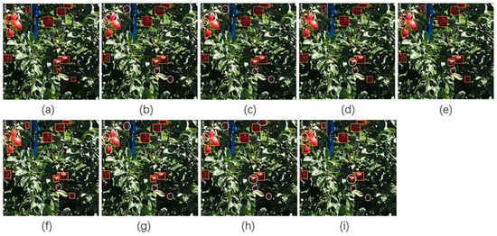 Detection and Counting of Small Target Apples under Complicated Environments by Using Improved ...