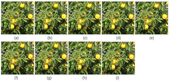 Detection and Counting of Small Target Apples under Complicated Environments by Using Improved ...