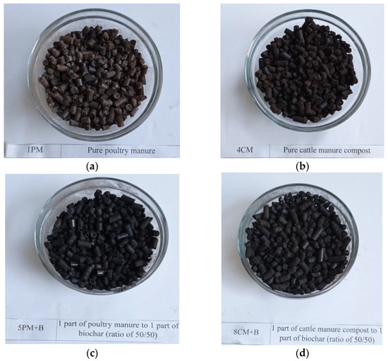 Sustainable Use of Biochar, Poultry and Cattle Manure for the ...