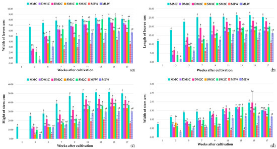 Relationship between Phenotypes and Chemical Profiling of Boesenbergia ...