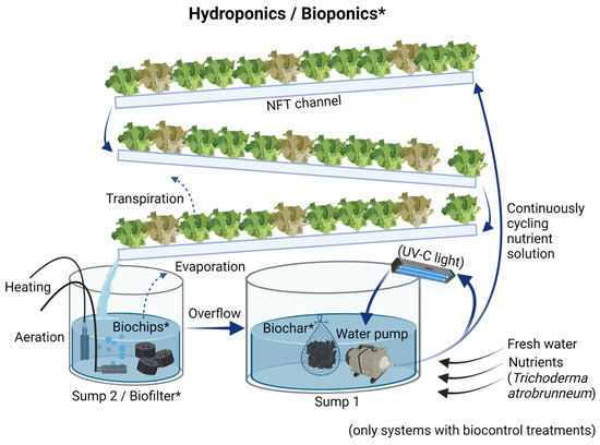 Bioponics—An Organic Closed-Loop Soilless Cultivation System: Yields ...