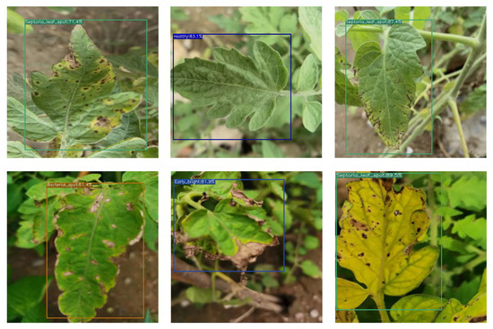 Tomato Leaf Disease Identification Method Based on Improved YOLOX