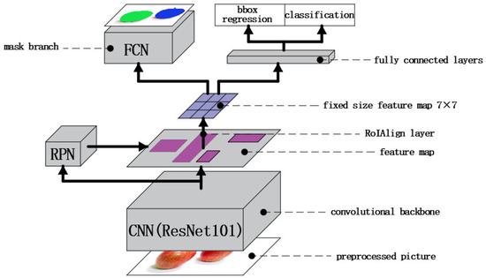 A Refined Apple Binocular Positioning Method with Segmentation-Based ...