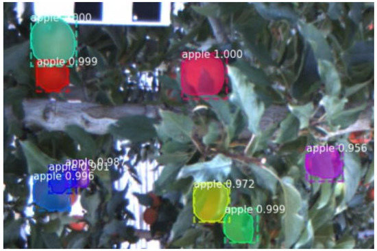 A Refined Apple Binocular Positioning Method with Segmentation-Based ...