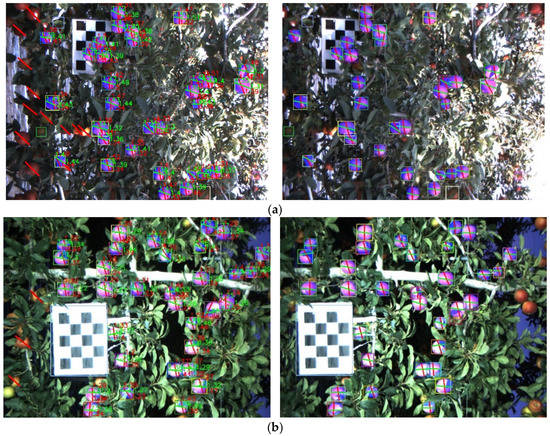 Agronomy | Free Full-Text | A Refined Apple Binocular Positioning Method with Segmentation-Based ...