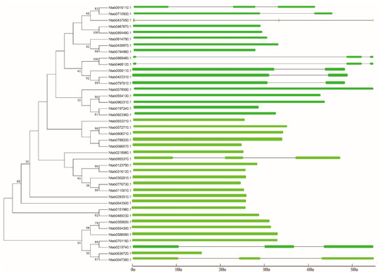 Characterization of the CLE Family in Three Nicotiana Species and ...
