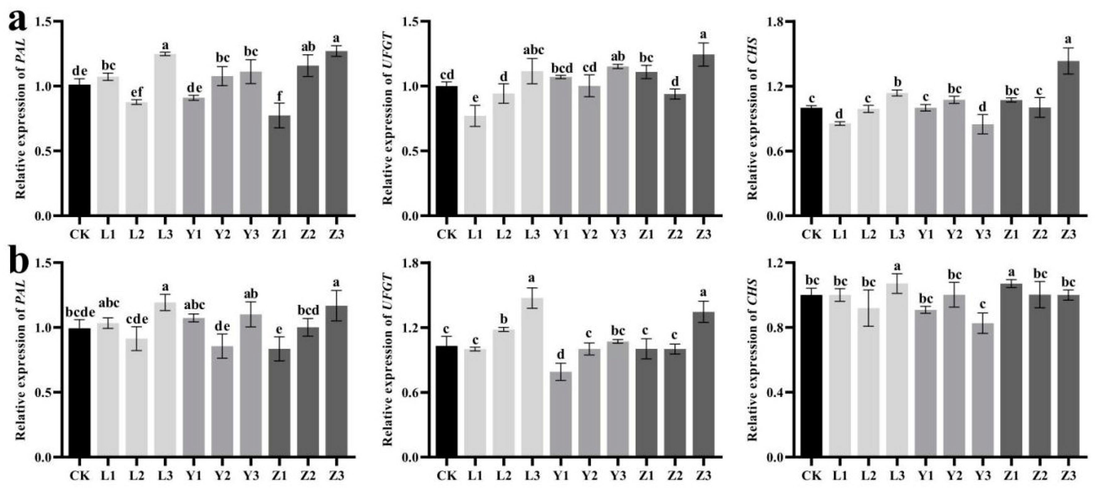 Effects of Exogenous Substances Treatment on Fruit Quality and Pericarp ...
