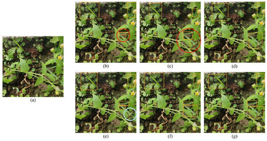 Real-Time Detection of Crops with Dense Planting Using Deep Learning at ...
